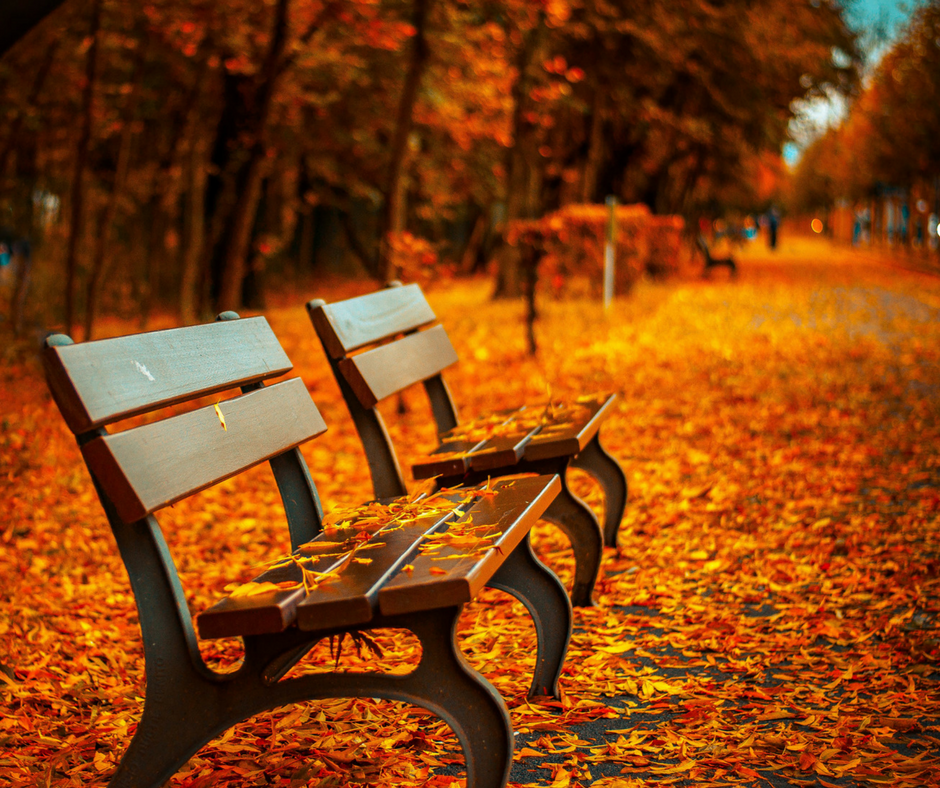 3 Steps to Remaining Productive, while Transitioning to Autumn - Alison ...